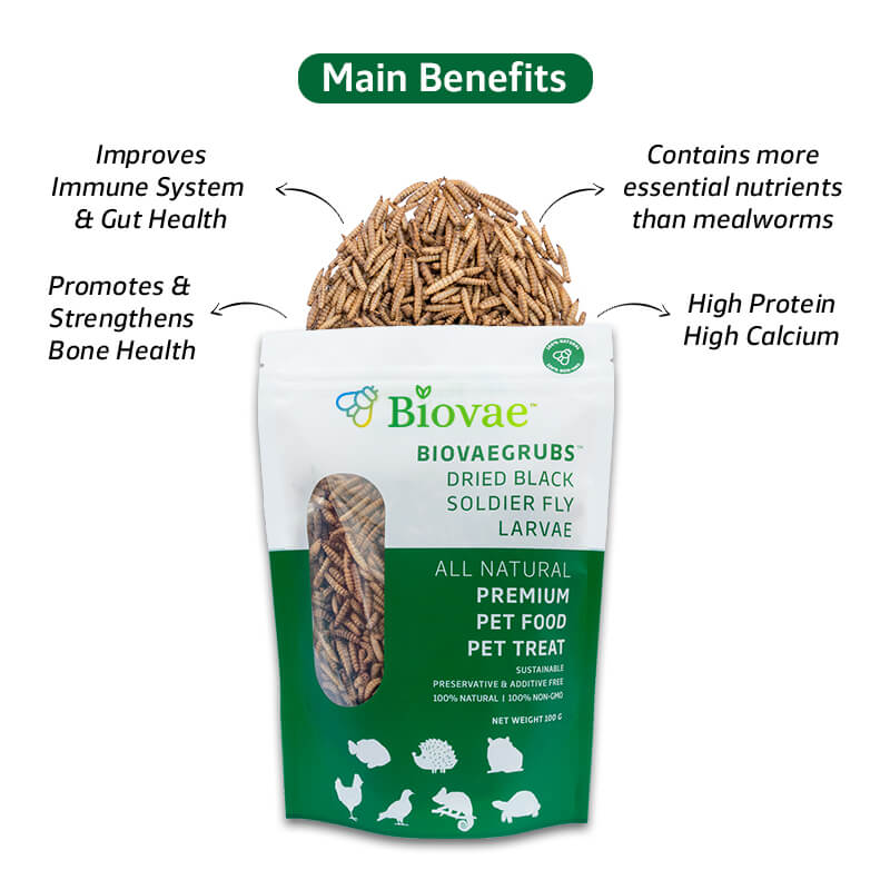 BiovaeGrubs™ | Dried BSFL Black Soldier Fly Larvae | Biovae