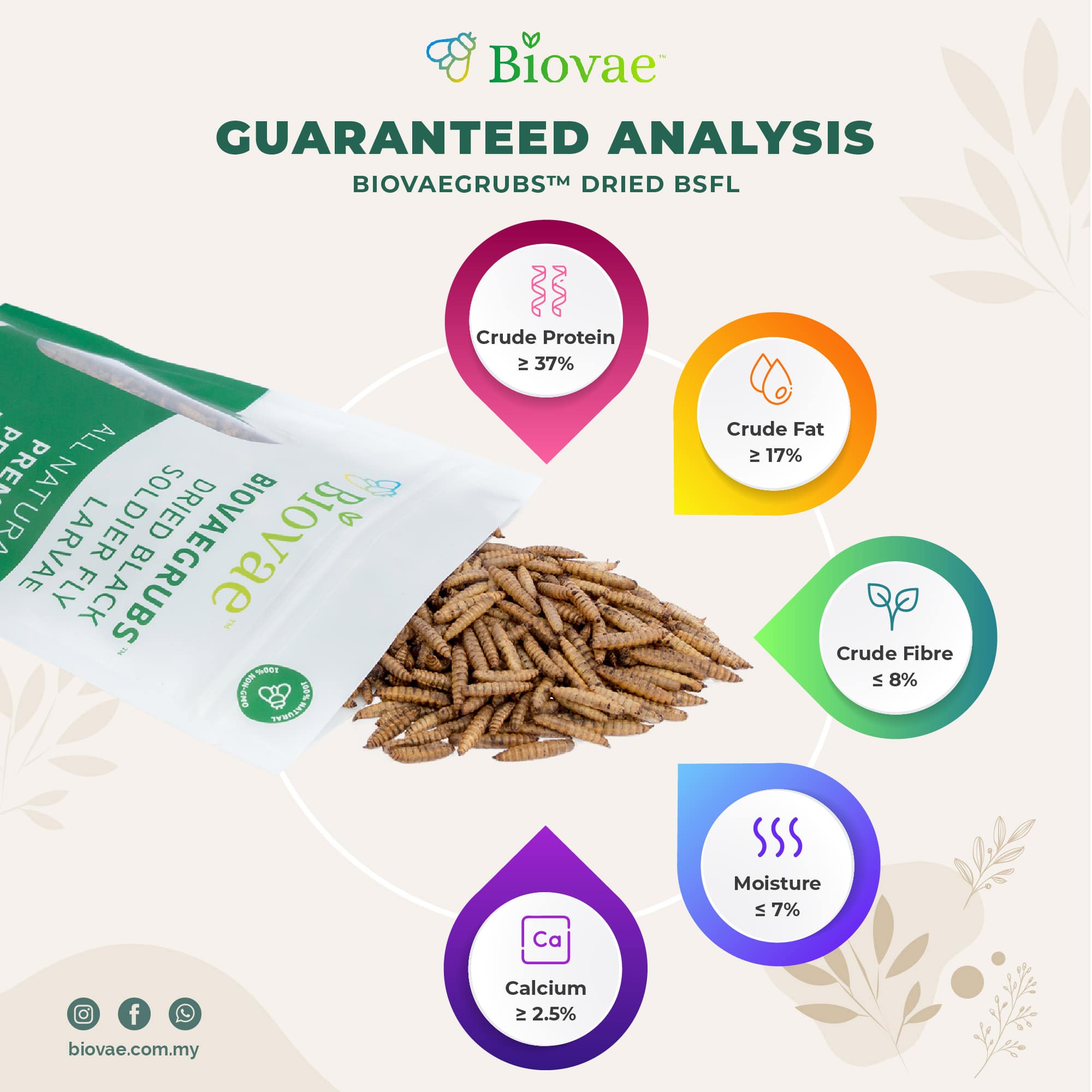 BiovaeGrubs™ | Dried BSFL Black Soldier Fly Larvae | Biovae