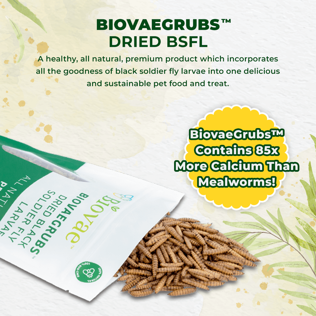 BiovaeGrubs™ | Dried BSFL Black Soldier Fly Larvae | Biovae
